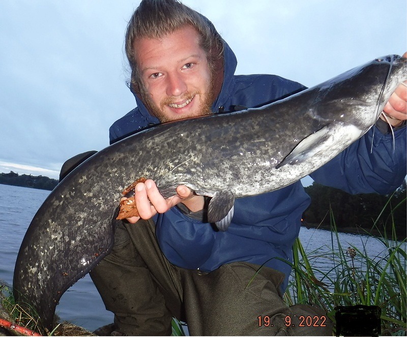 Ryba roku 2022 - nominace | Ryba roku | Kronika | naryby.cz