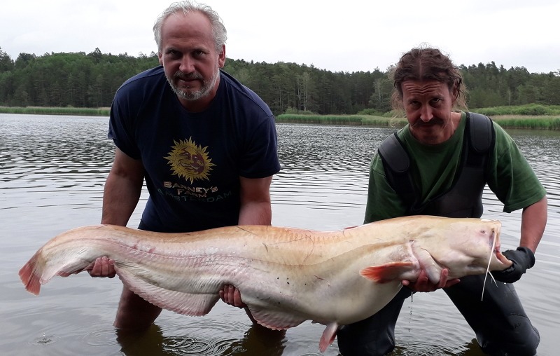 Ryba roku 2022 - výsledky | Ryba roku | Kronika | naryby.cz