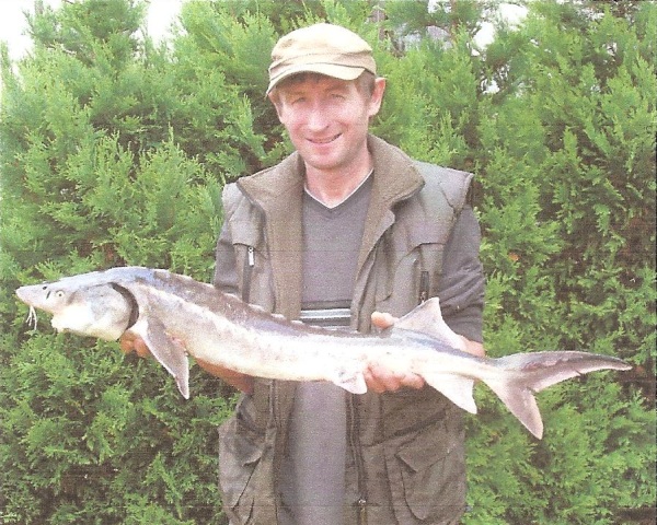 Ryba roku 2010 - nominace | Ryba roku | Kronika | naryby.cz