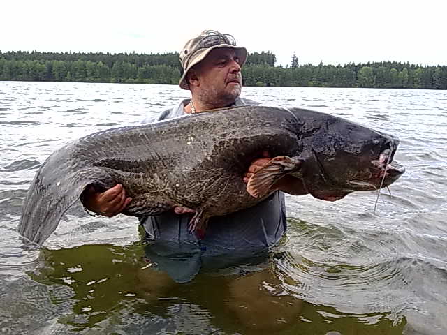 Ryba roku 2011 - nominace | Ryba roku | Kronika | naryby.cz