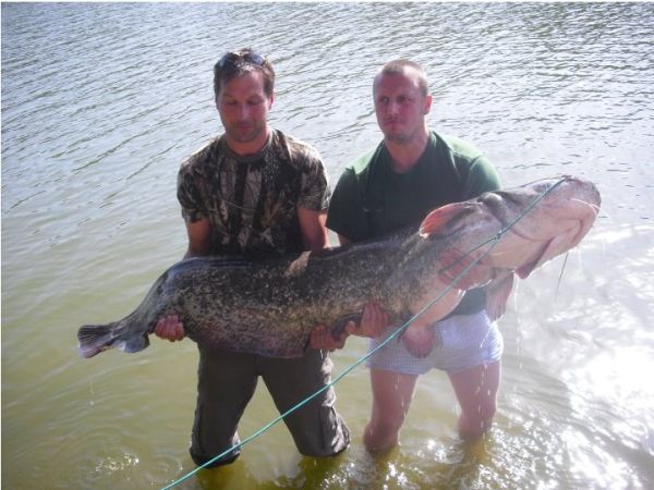 Ryba roku 2011 - výsledky | Ryba roku | Kronika | naryby.cz